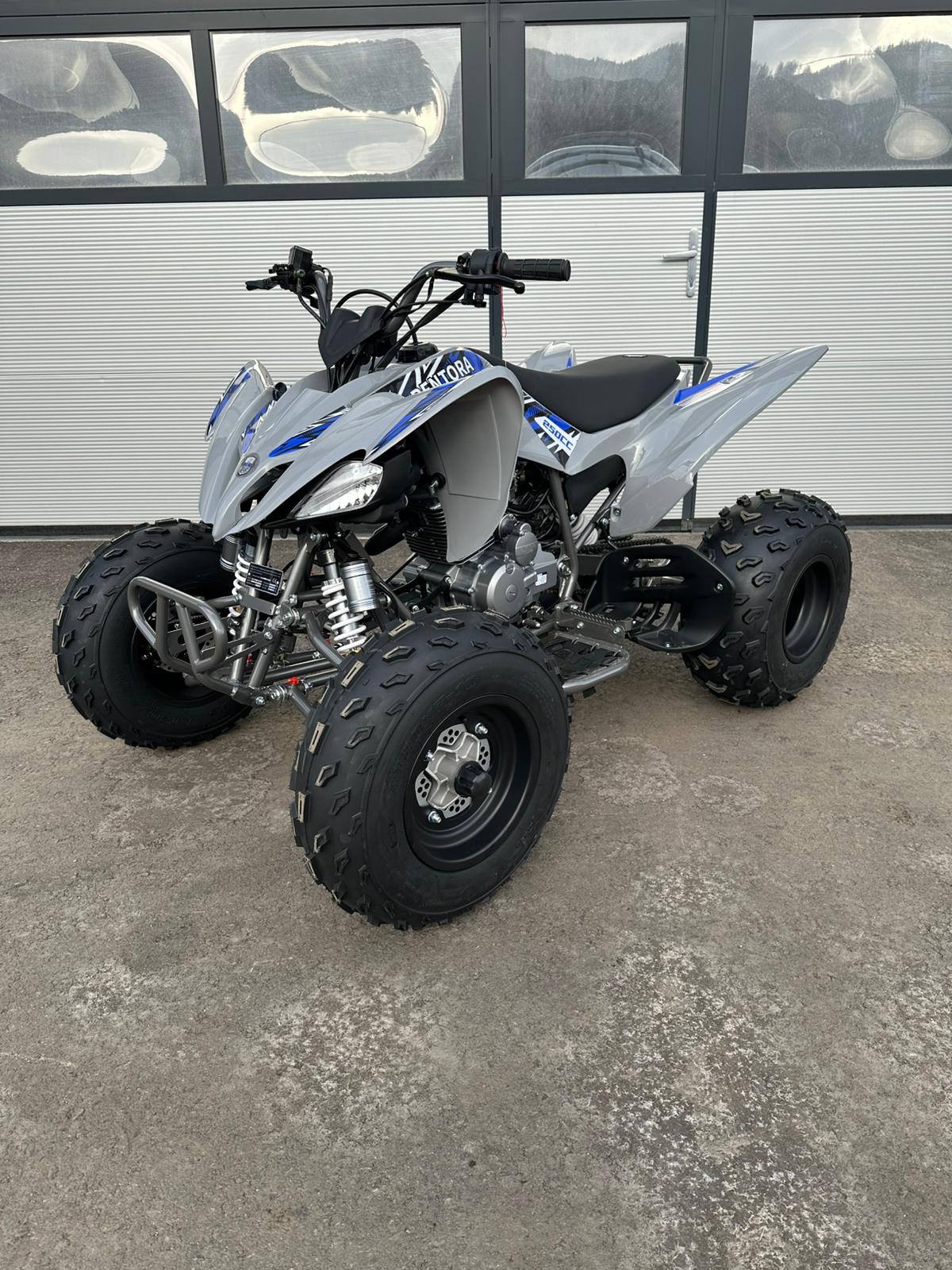 Kindermotorräder Galler - Quad Mikilon Pendora 250ccm 4 Takt Motor 18 PS