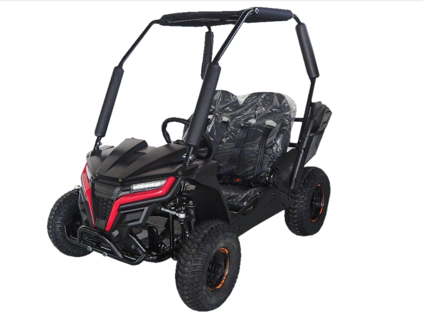 Kindermotorräder Galler - Buggy Ceetah Mini 163 ccm OHC 4 Takt Motor 2 ...